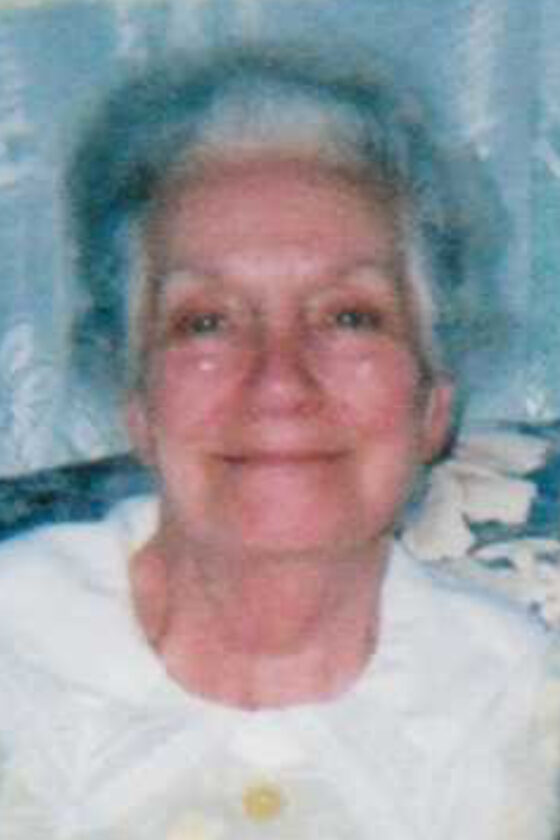 Barbara L. Babik 1935-2022 | News, Sports, Jobs - The Vindicator